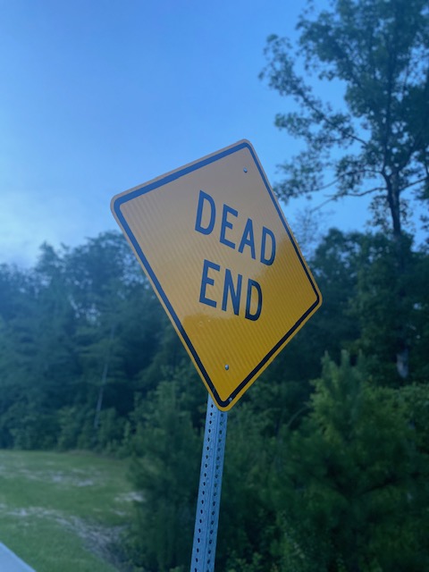 Road Signs of Life: Where to go from here? - Dawn of a New Day 365